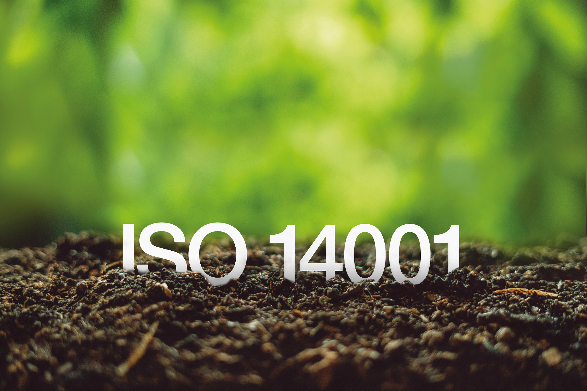 ISO 14001 environmental management standard